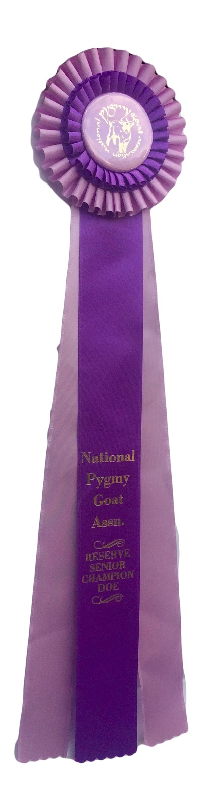 Abstracts from the Goat Farm: All That Matters