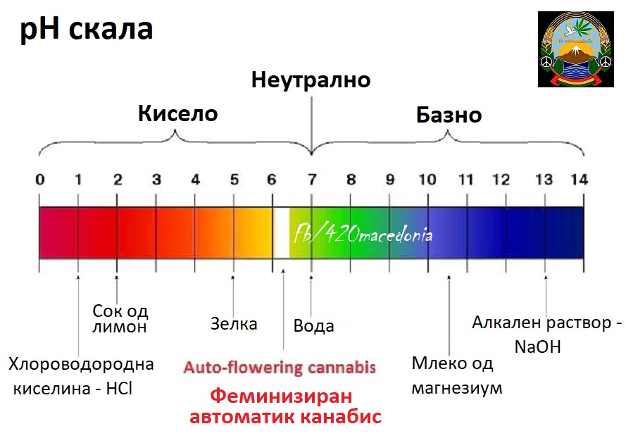 420 Macedonia: ОДГЛЕДУВАЊЕ: Најсоодветна pH вредност за канабис растенијата