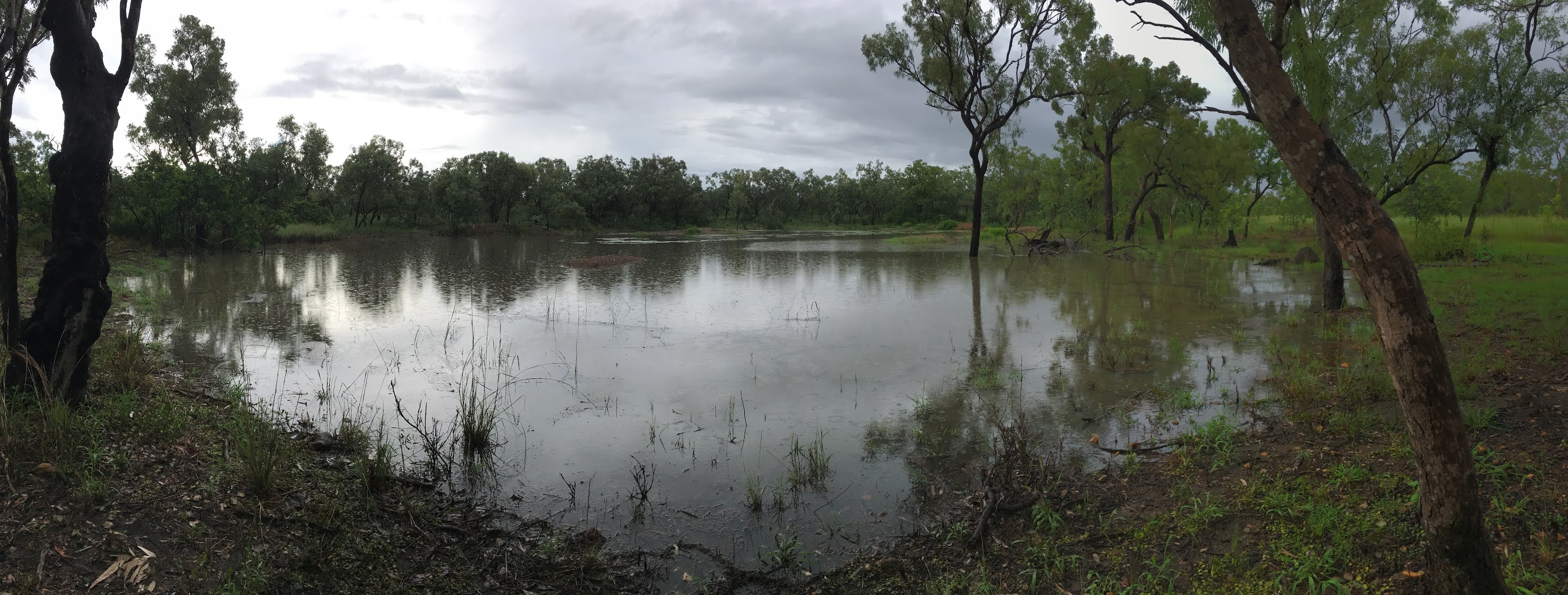 Off Grid in the Tropics