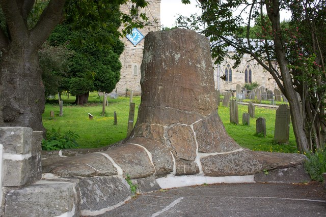 North-East History Tour: Fossil Tree, Stanhope (NY997392)