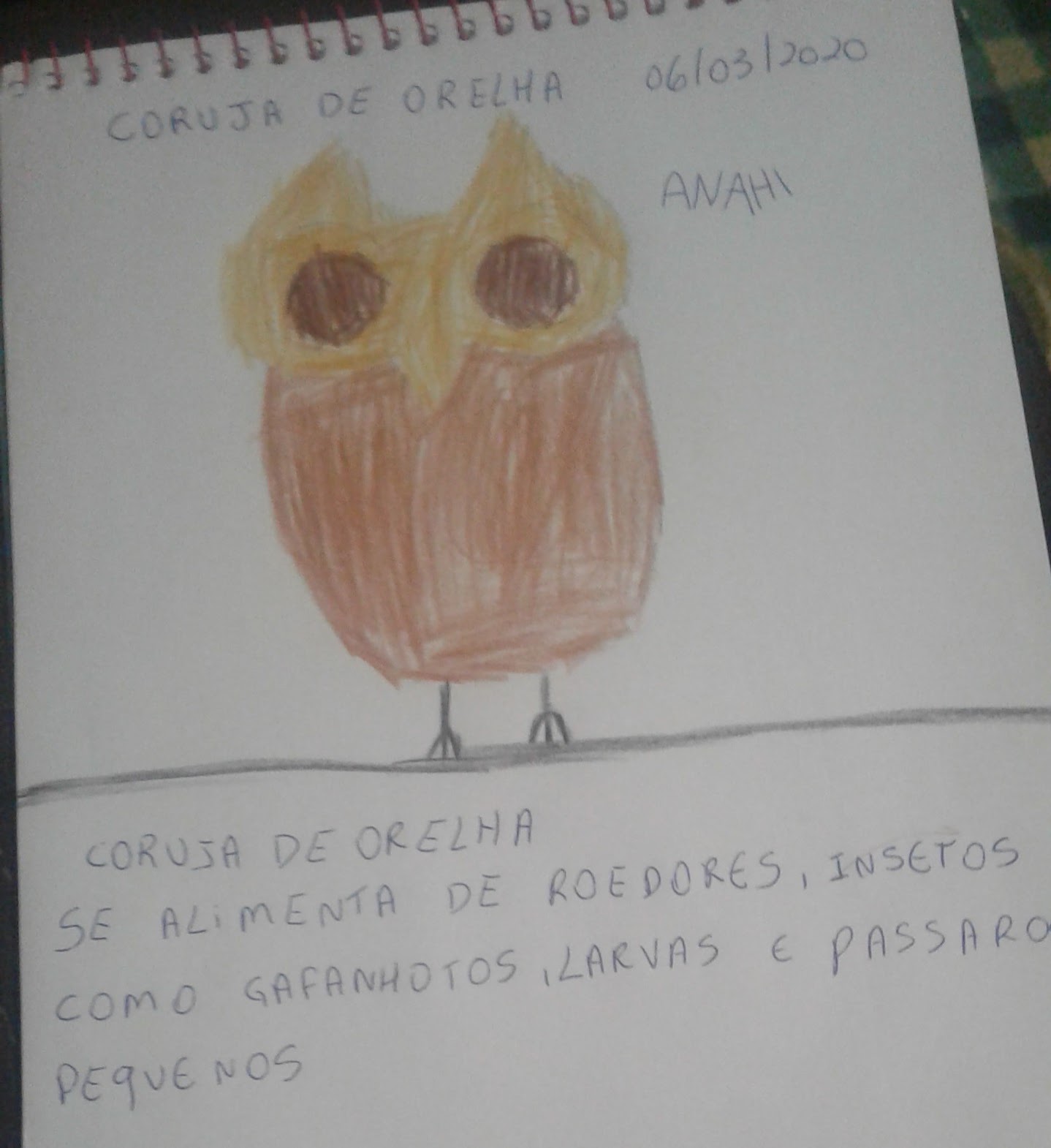 BRINCAR E APRENDER: AULA VIRTUAL 02 - PROJETO CORUJA