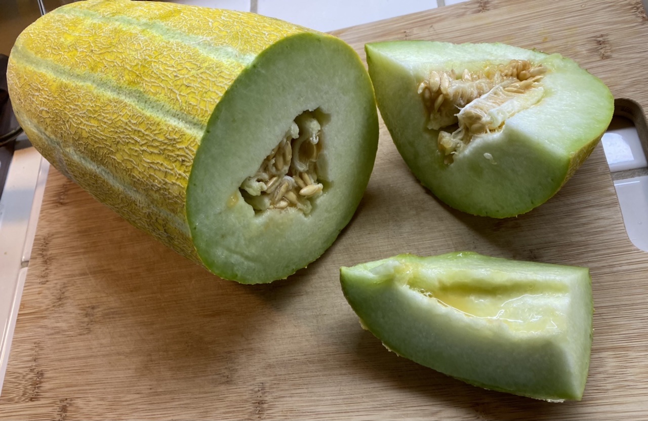 Gardening : A Creme Brûlée Flavored Persian Melon