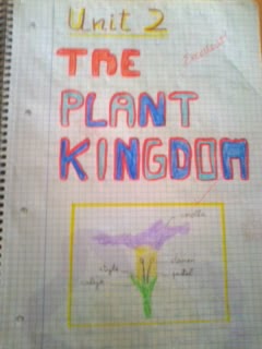 Made in England: OUR NOTEBOOKS