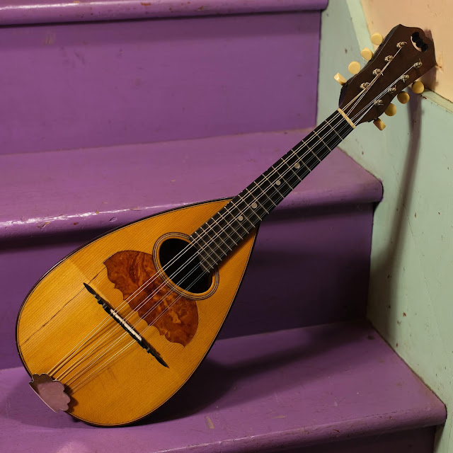 1910s Larson-made Mayflower Bowlback Mandolin