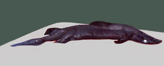 Artes de Pesca: VAMOS A PESCAR TIBURONES 2ª Parte