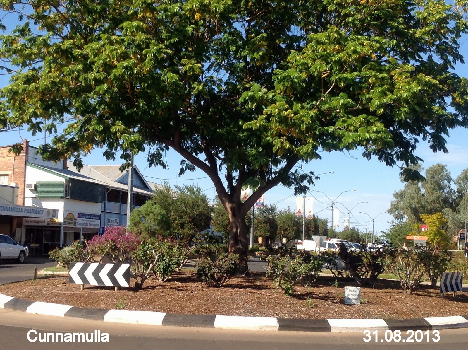 Jan Martin's Travel Blog: Cunnamulla Town - August 2013