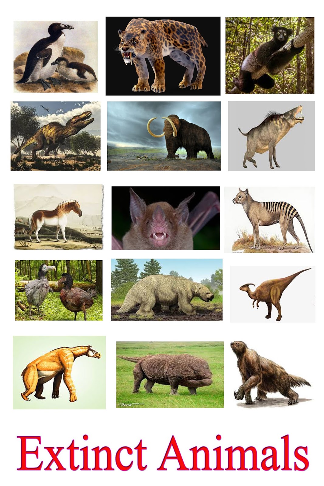 HAPPY MOSES: extinct animals