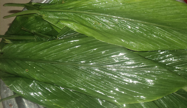 Patoli Recipe Or Patoleo Recipe, How To Make Patoli Recipe