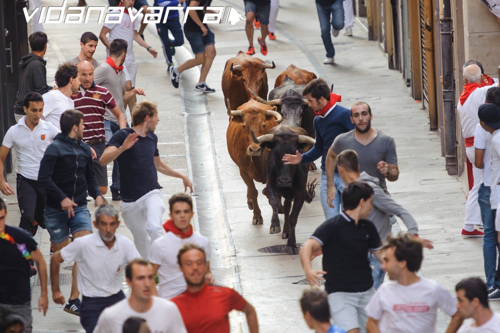 Vida Navarra: Encierro de Estella 5-8-2017