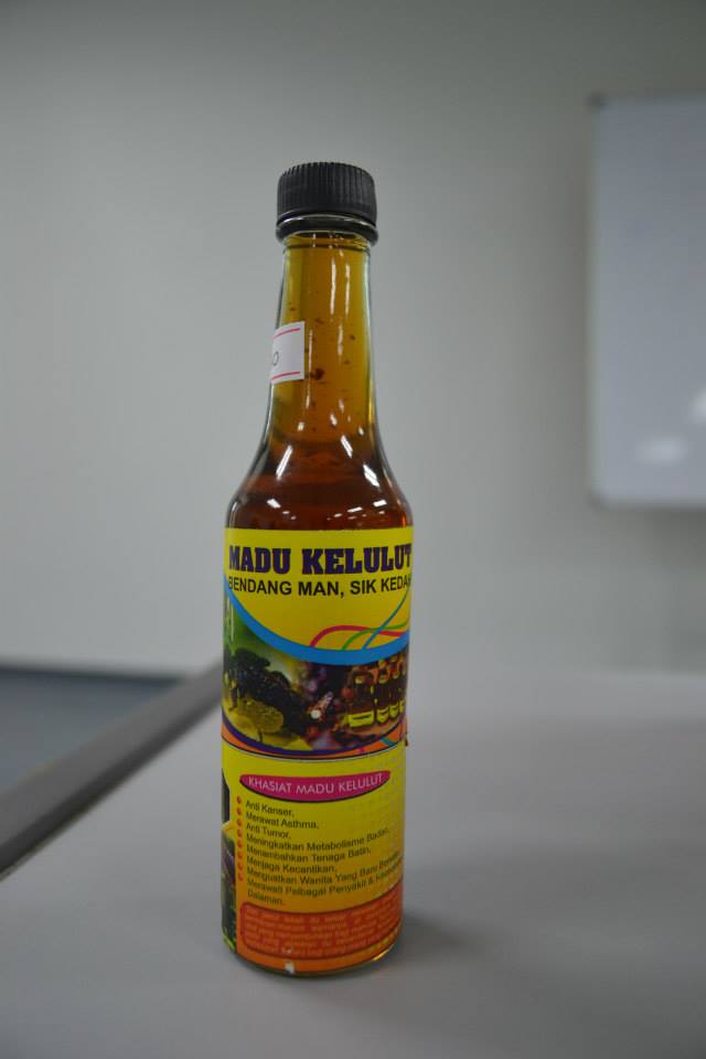 SADE1013 ASAS KEUSAHAWANAN: LAMPIRAN (Madu Kelulut Keda Resort Bendang Man)