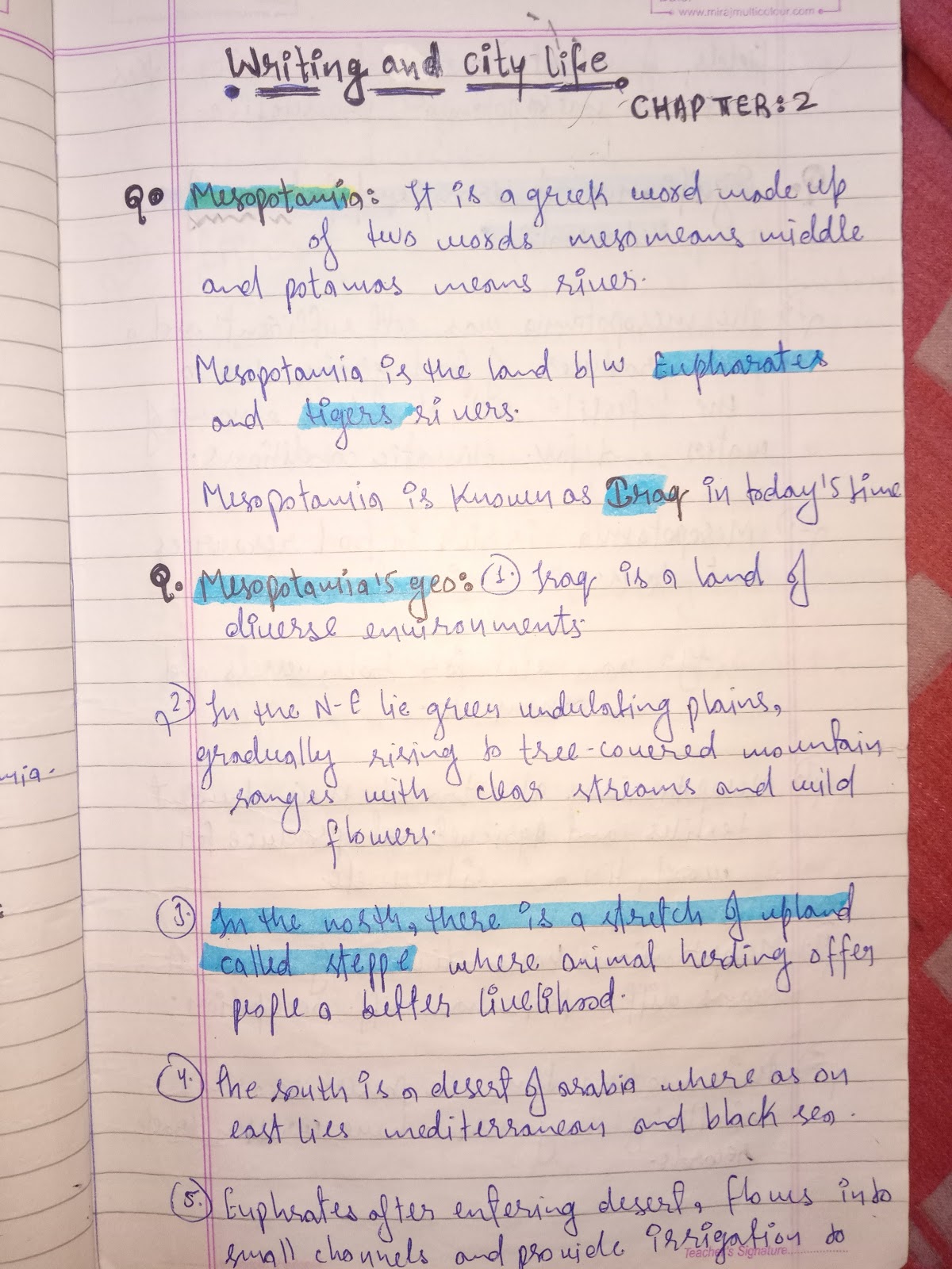 Handwritten Notes of Writing and City life - class 11th - History