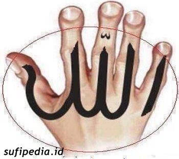 Rahasia di Balik Penciptaan Bentuk Tubuh Manusia - Sufipedia