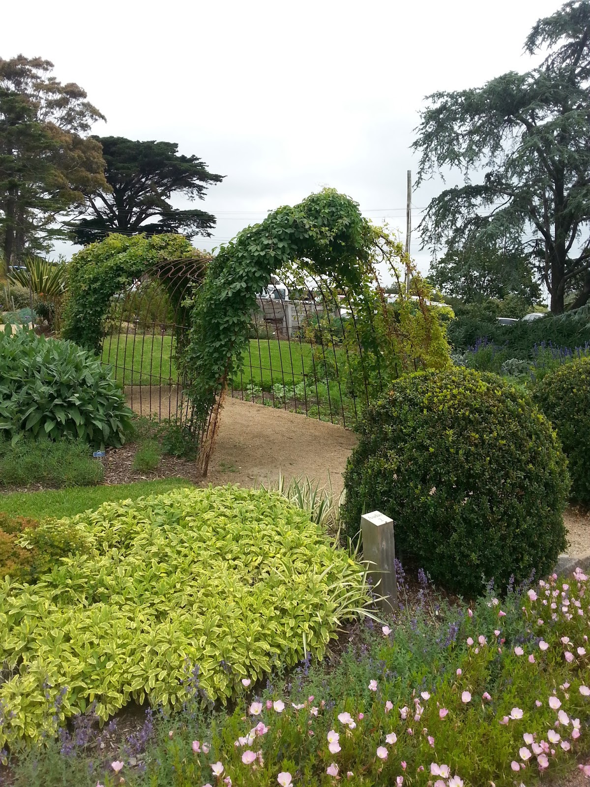 Aggregata Plants & Gardens: Heronswood gardens in Dromana in the heat ...