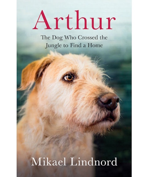 Mark Wahlberg will star in the true-life dog adventure movie “Arthur ...