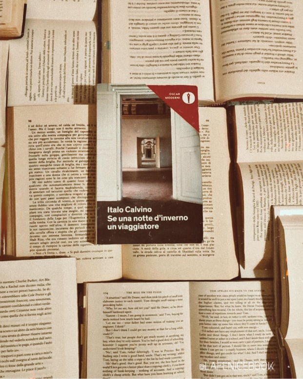 Se una notte d'inverno un viaggiatore di Italo Calvino