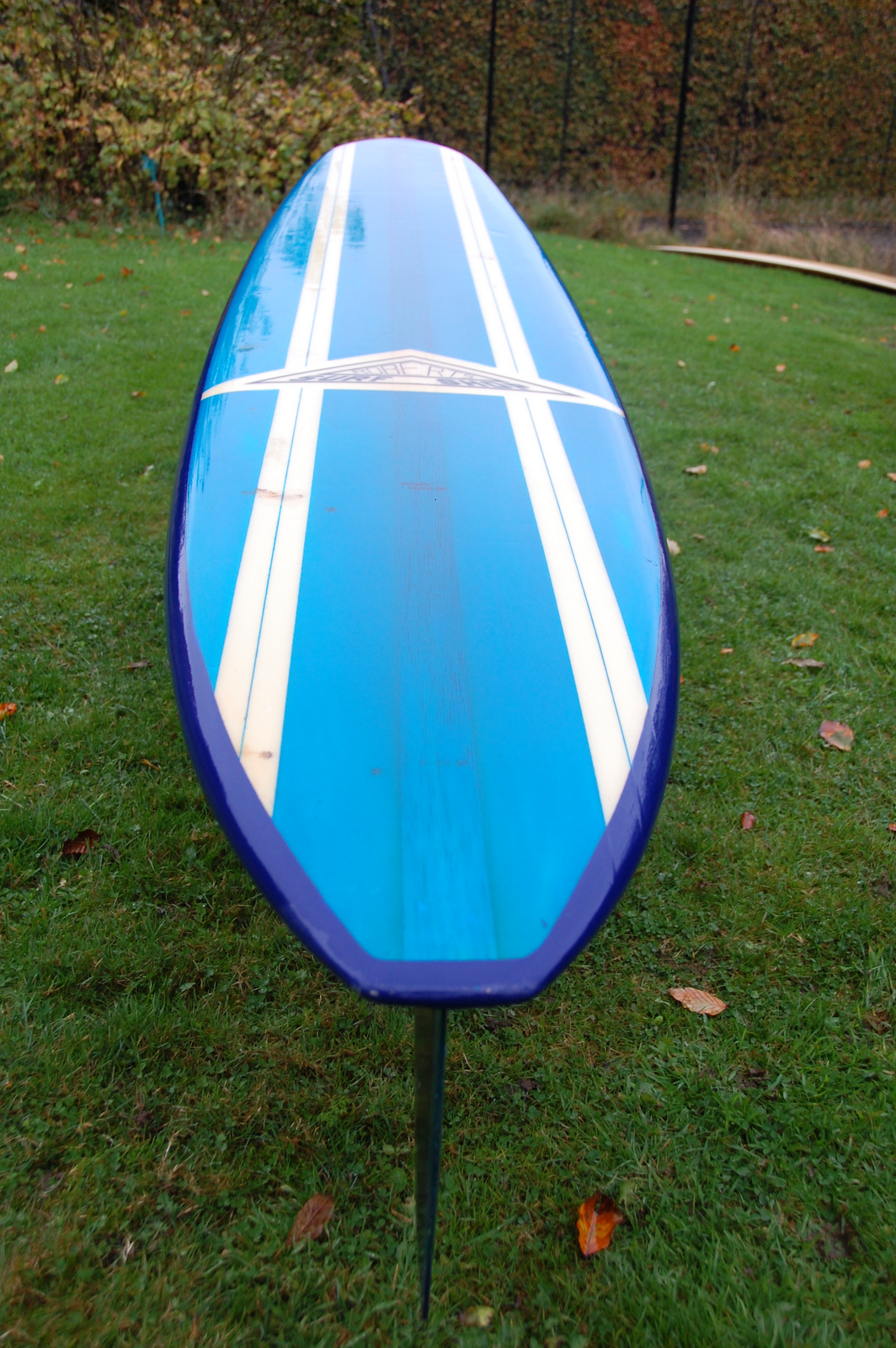 D Fin Longboard at Claire Grissom blog