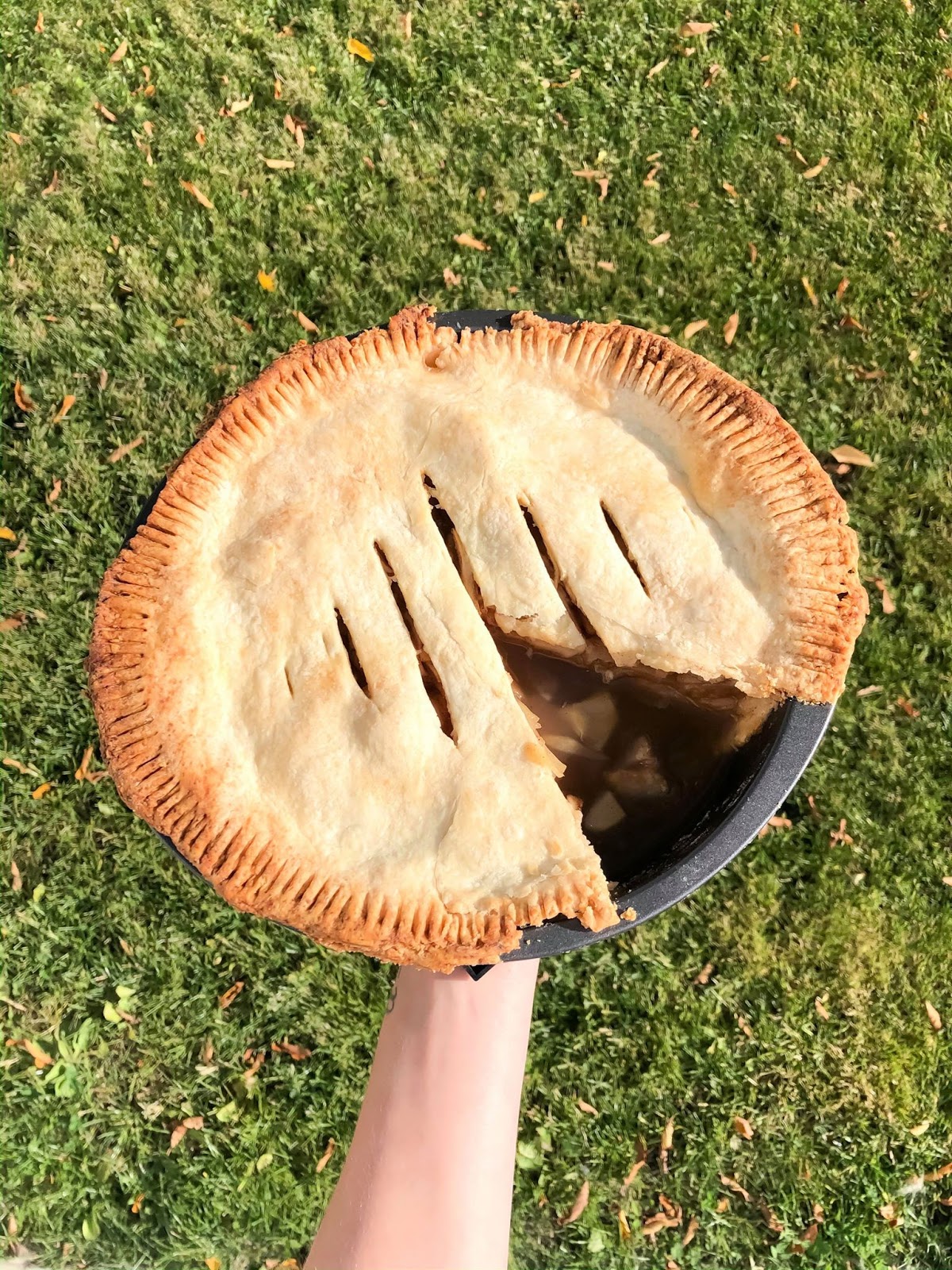 Homemade Apple Pie Recipe The Home Baked Vegan homemade-apple-pie-recipe-the-home-baked-vegan