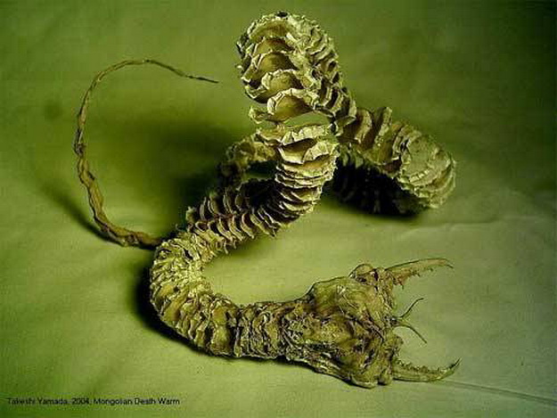 Cacing Kematian Mongolia (Mongolian Death Worm) - cekrisna
