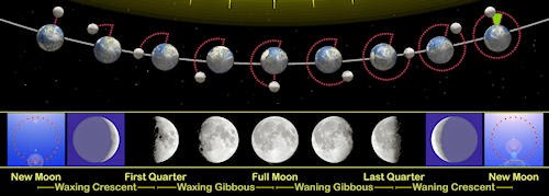 The Presurfer: Understanding Moon Phases