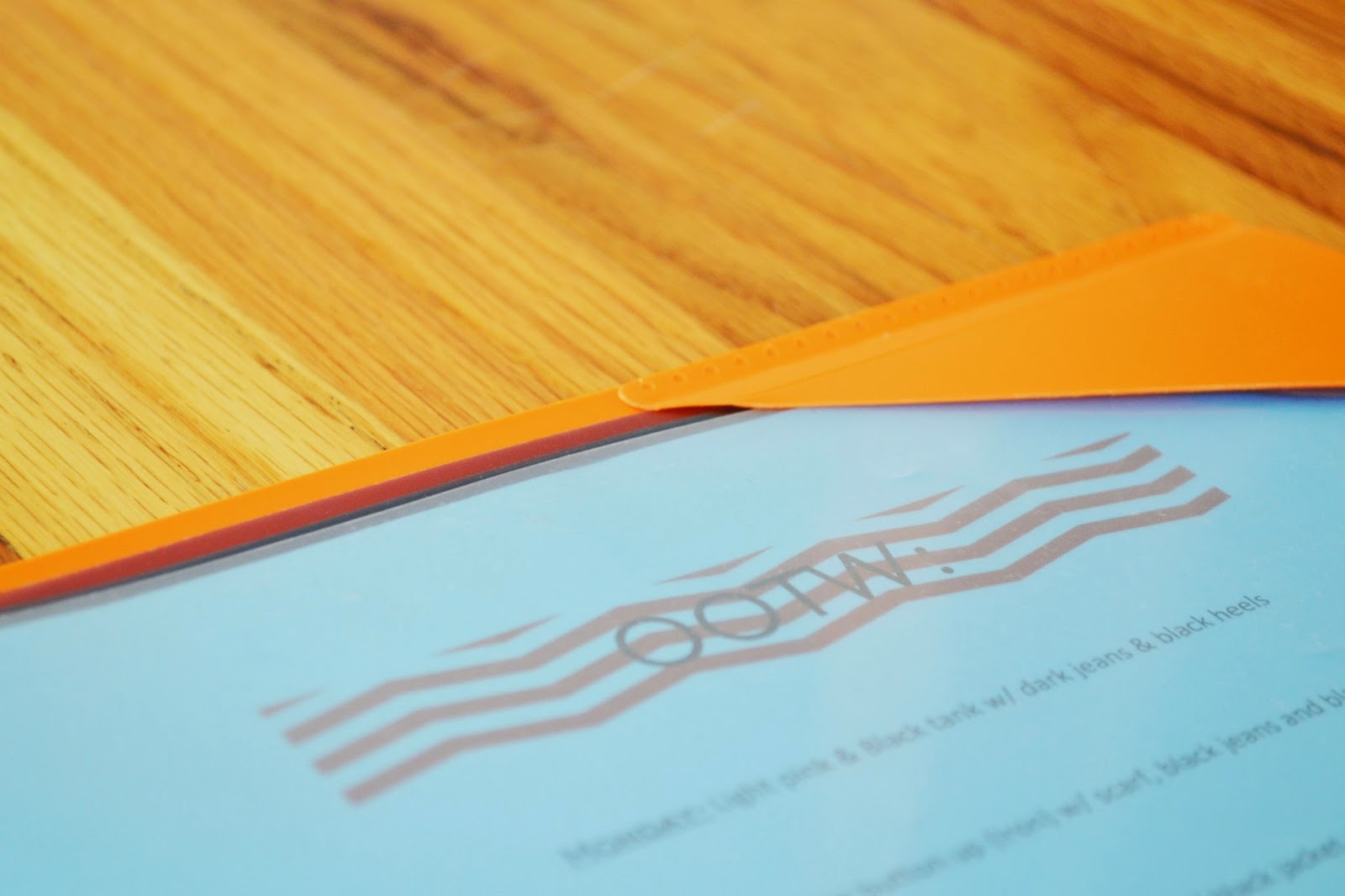 The Crazy Collards: Organizing Freak: Daily/Weekly Lists