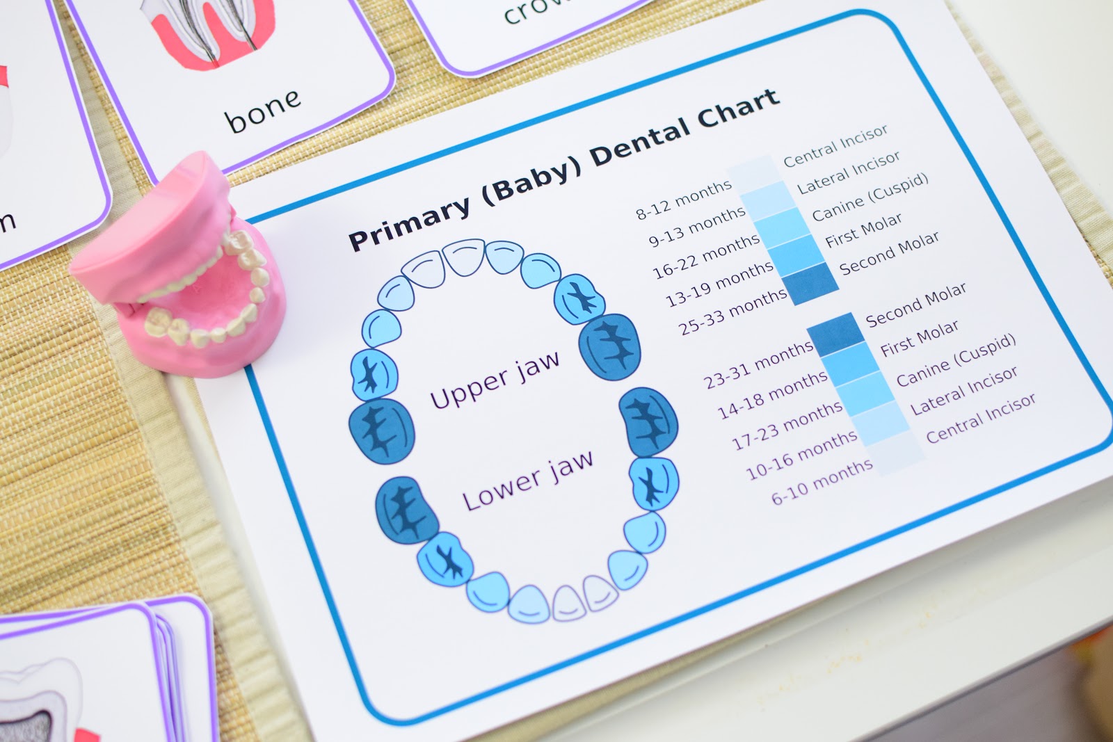 Introducing Dental Health to Kids | The Pinay Homeschooler