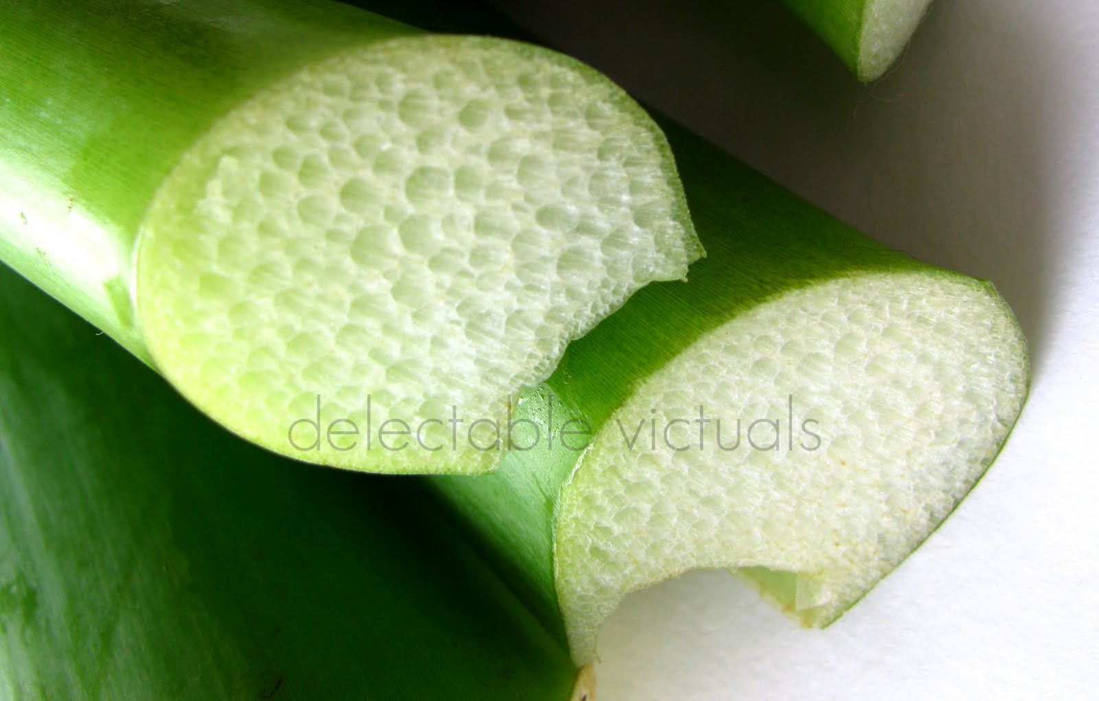 Delectable Victuals: Bac Ha Soup