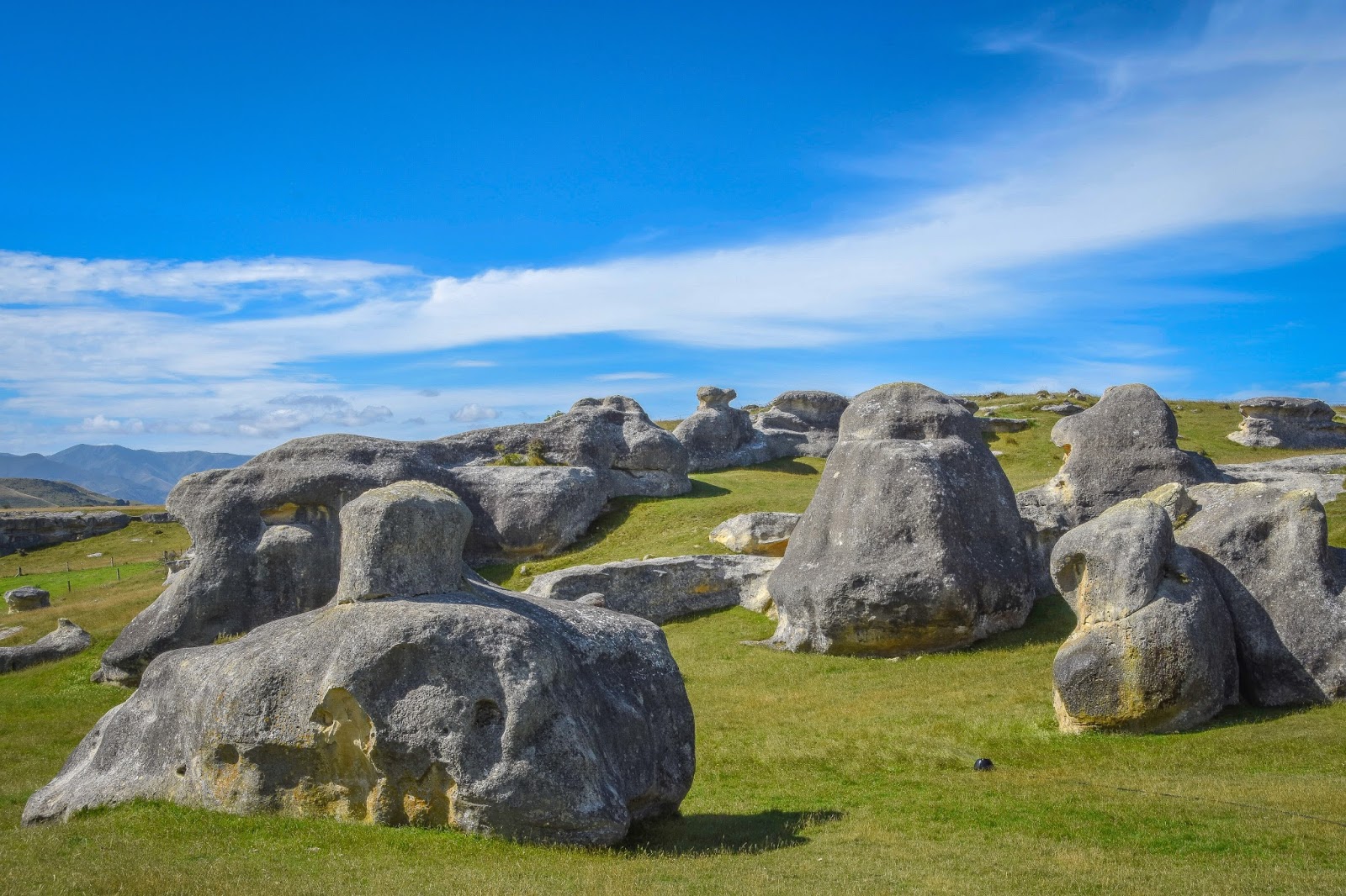 Paws Awhile: Duntroon - Waitaki Valley