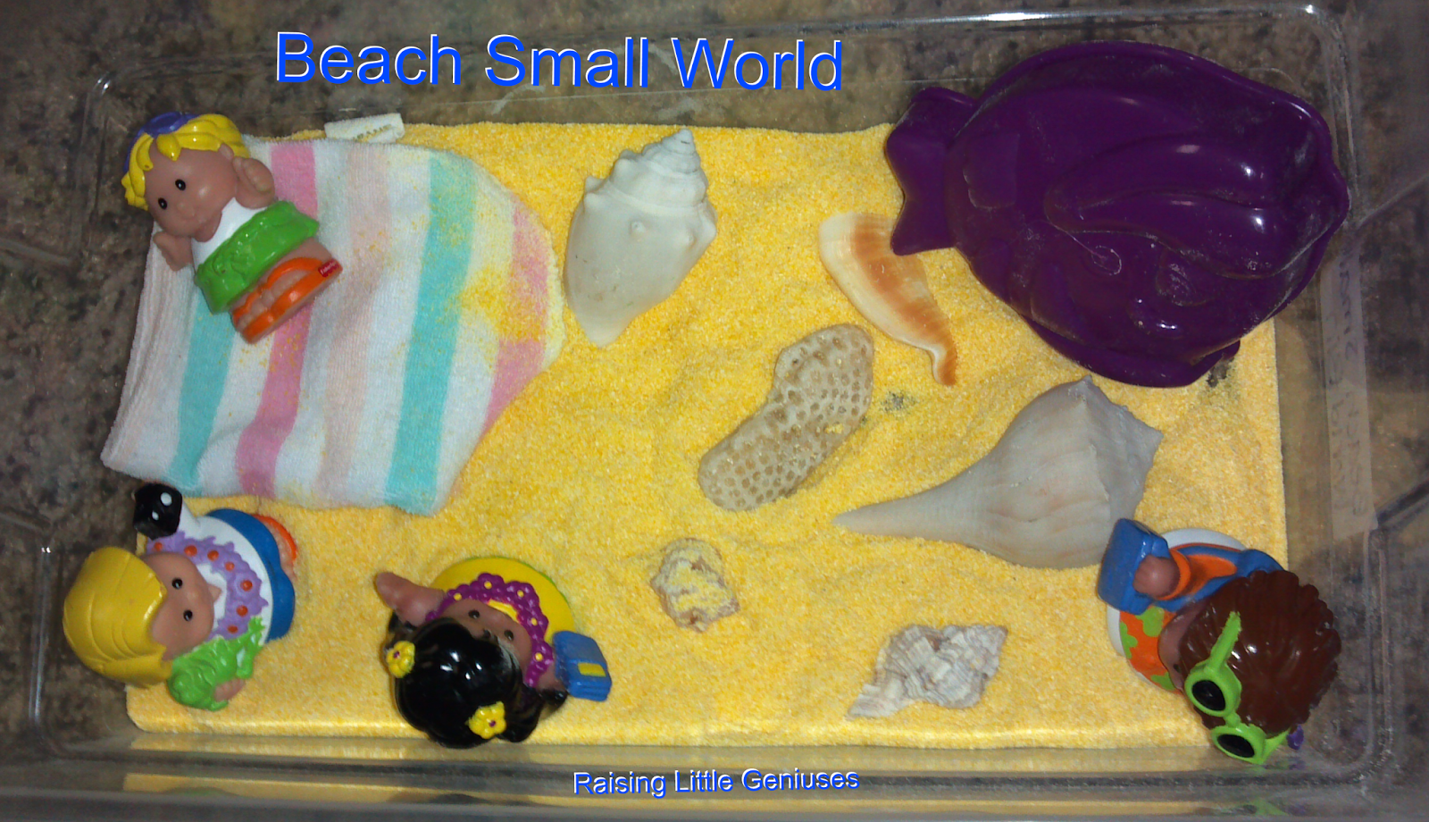 Raising Little Geniuses: Beach Small World