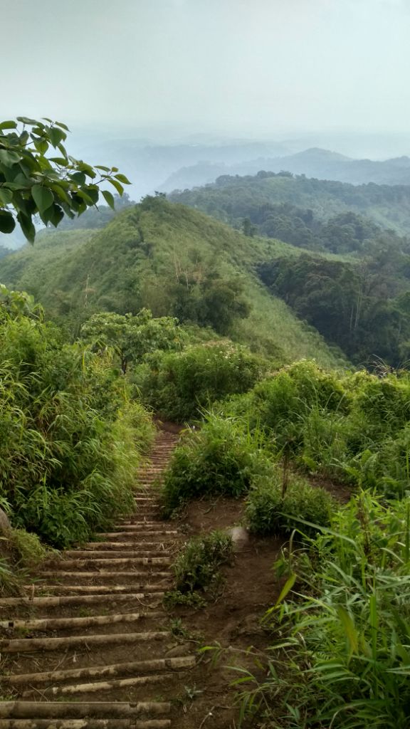 DESTINASI JAWA TIMUR: PUNCAK WATU JENGGER (GUNUNG JOKOMUJUNG)