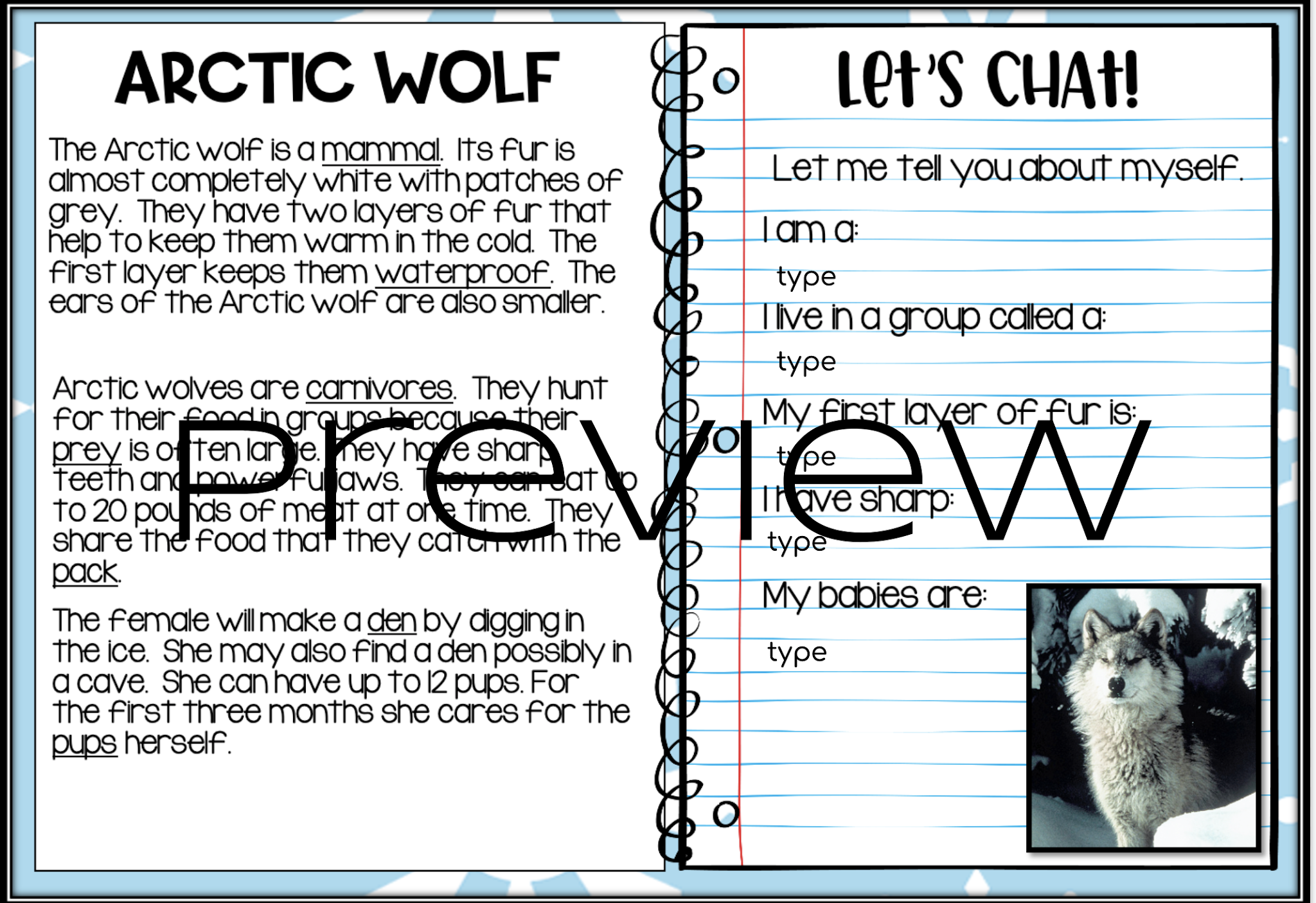 1st Grade Hip Hip Hooray!: Arctic Animals...Read, Write, Report ...