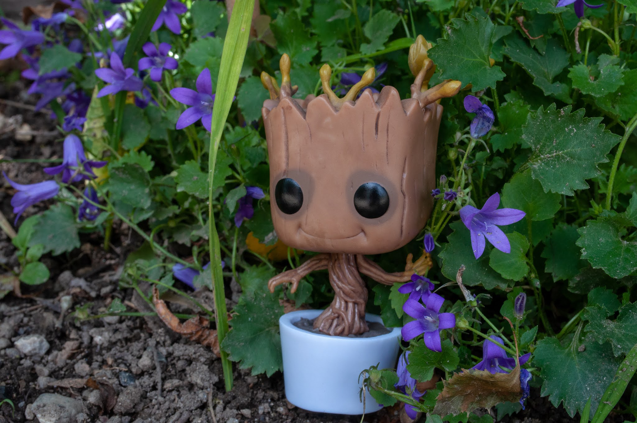 Portrait d'objet - Groot