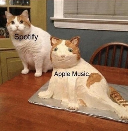 10 Random Funny Cat Memes