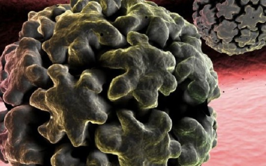 Όλα όσα πρέπει να γνωρίζετε για τα κονδυλώματα των γεννητικών οργάνων