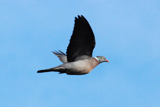 Ölandsvindar: Full fart i luftrummet