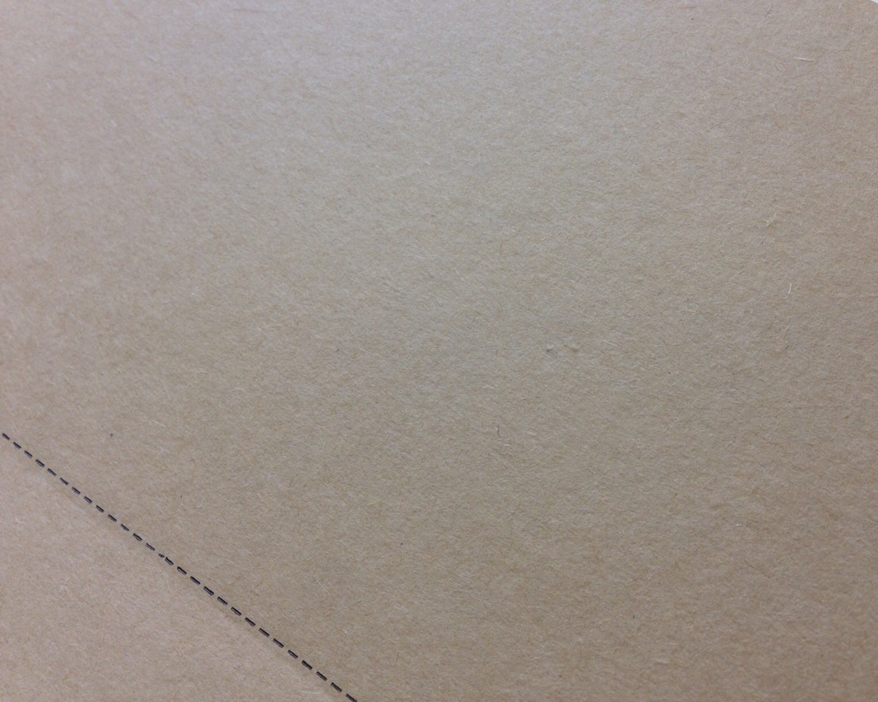 Justin's Amazing World At Fenner Paper: What is ...manila, or is it ...