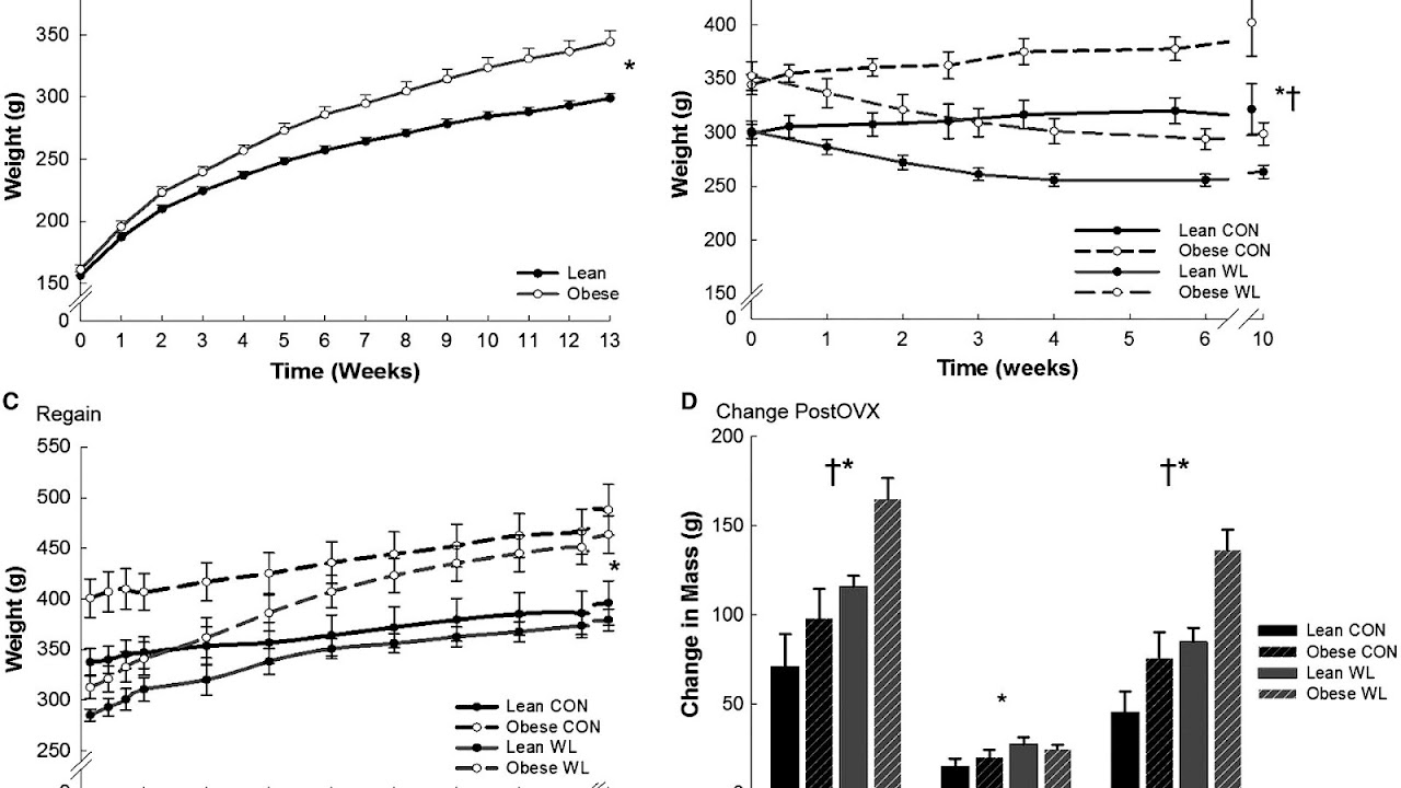 Function Of Ovaries After Menopause - Menopause Choices