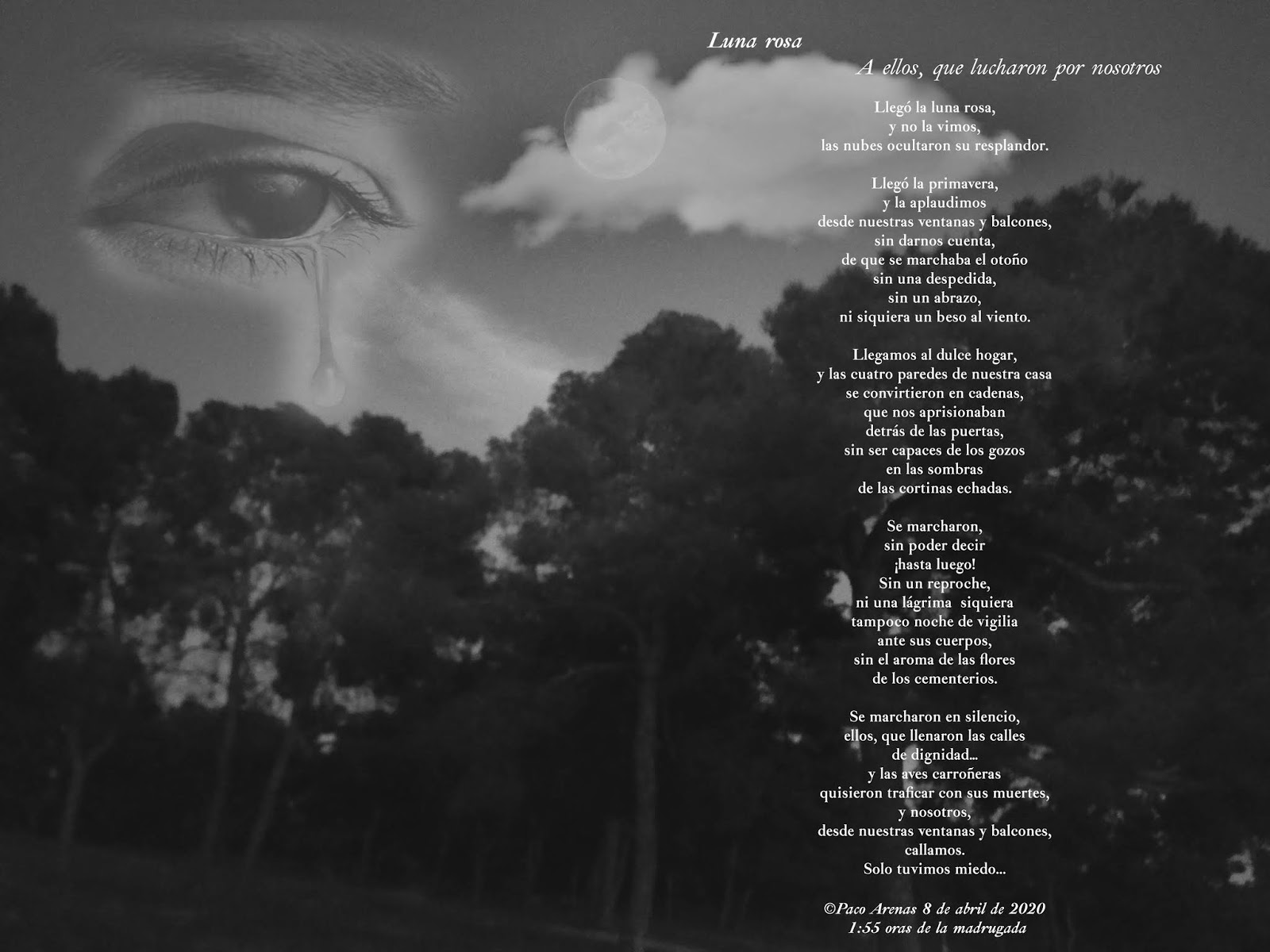 Paco Arenas Luna Rosa paco-arenas-luna-rosa