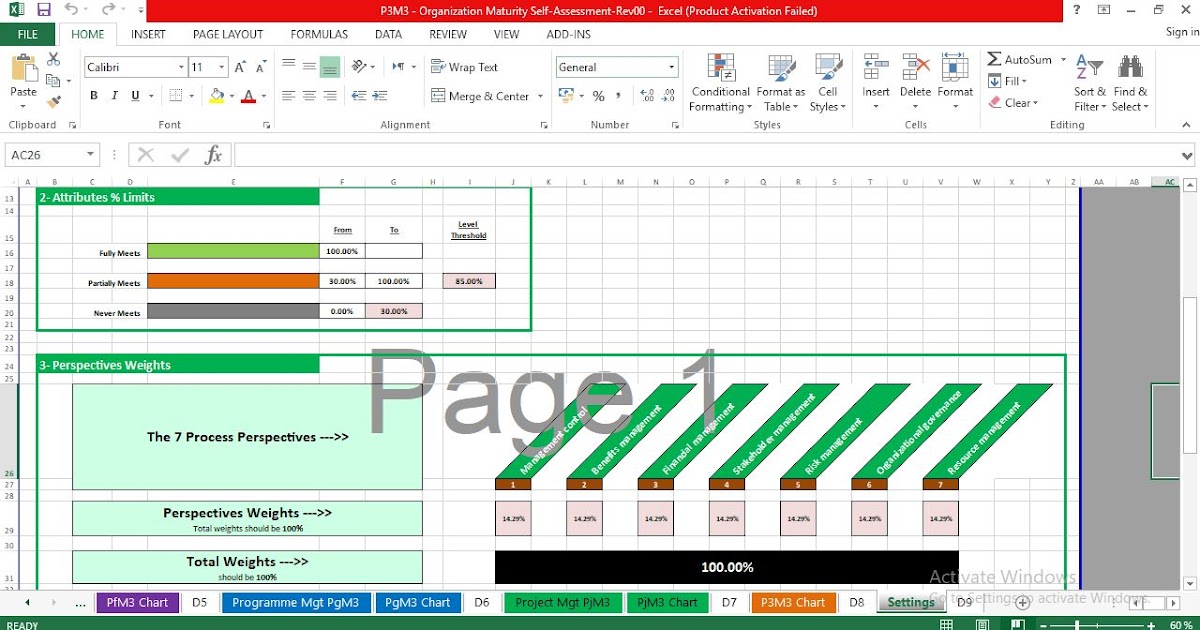 P3M3 Organization Maturity Self Assessment