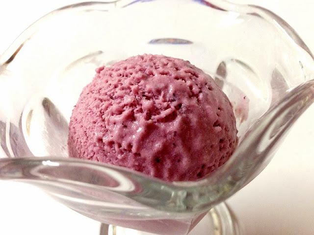 Carrie's Kitchen: Blueberry Frozen Yogurt