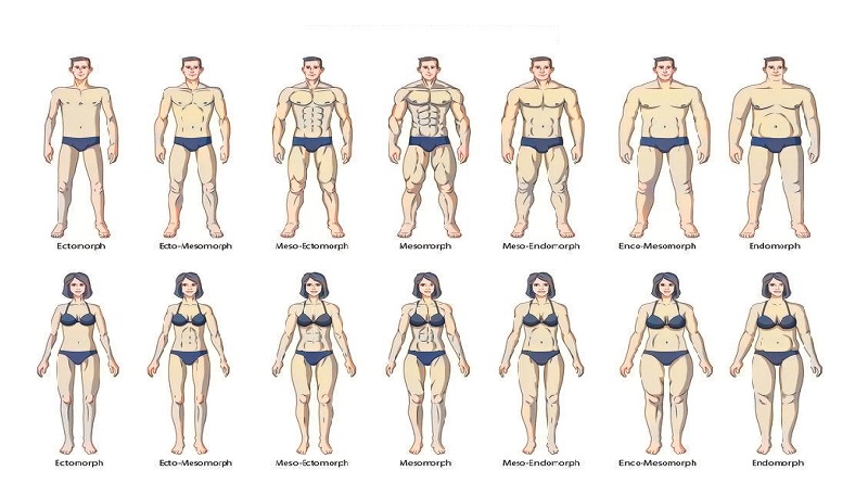 Which Body Type Do You Have Alakoc Health Which Body Type Do You Have Alakoc Health