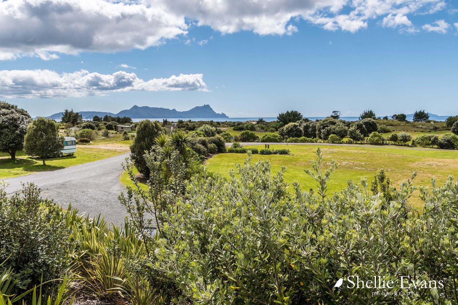 Two Go Tiki Touring: Stunning Beach & Uretiti DOC Camp