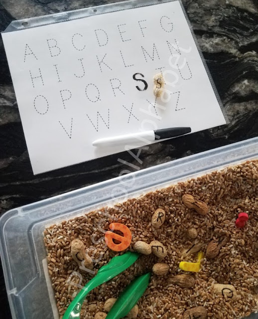 Preschool Alphabet: E is for Elmer the Elephant