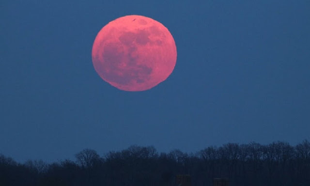 Super Lua cor-de-rosa brilha no céu nesta segunda-feira (26) - A Voz da ...