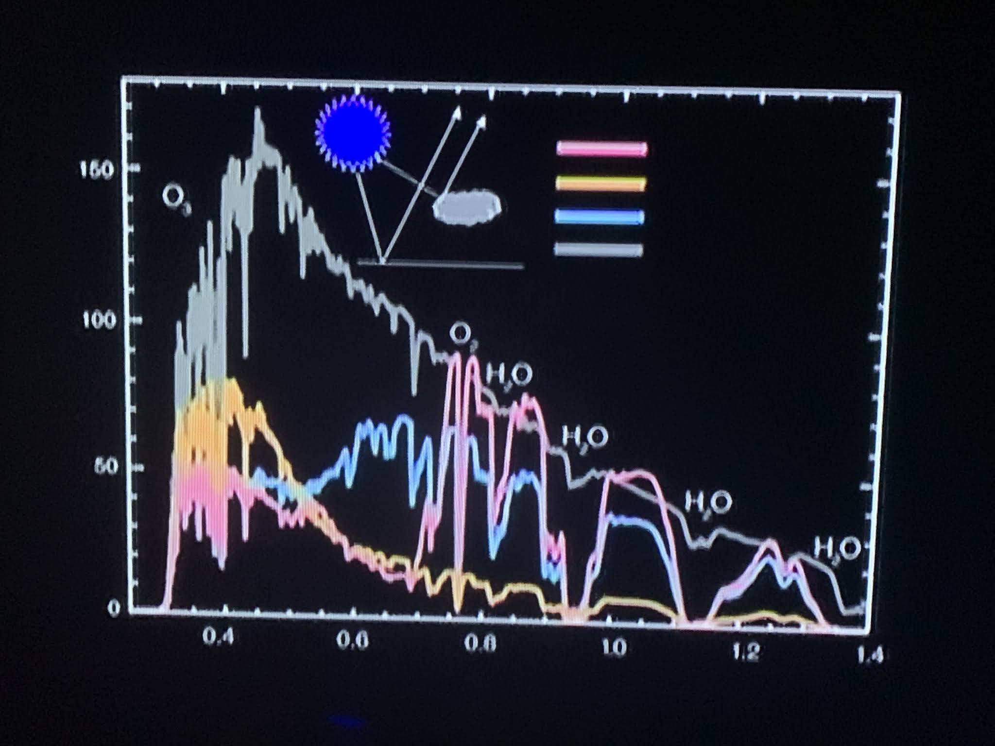 Manospondylus: The Many Mysteries of Darwin IV - Part 2