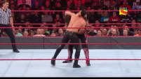 SETH ROLLINS ~ Pro Wrestling Gifs
