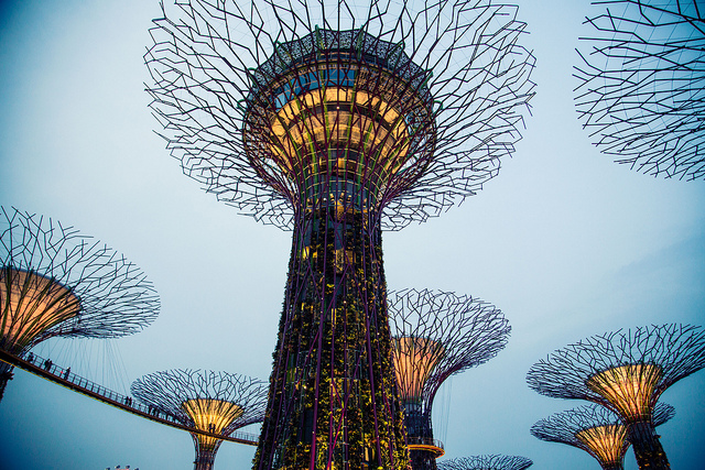 The Supertrees of Singapore ~ Kuriositas