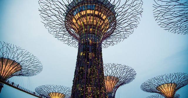 The Supertrees of Singapore ~ Kuriositas