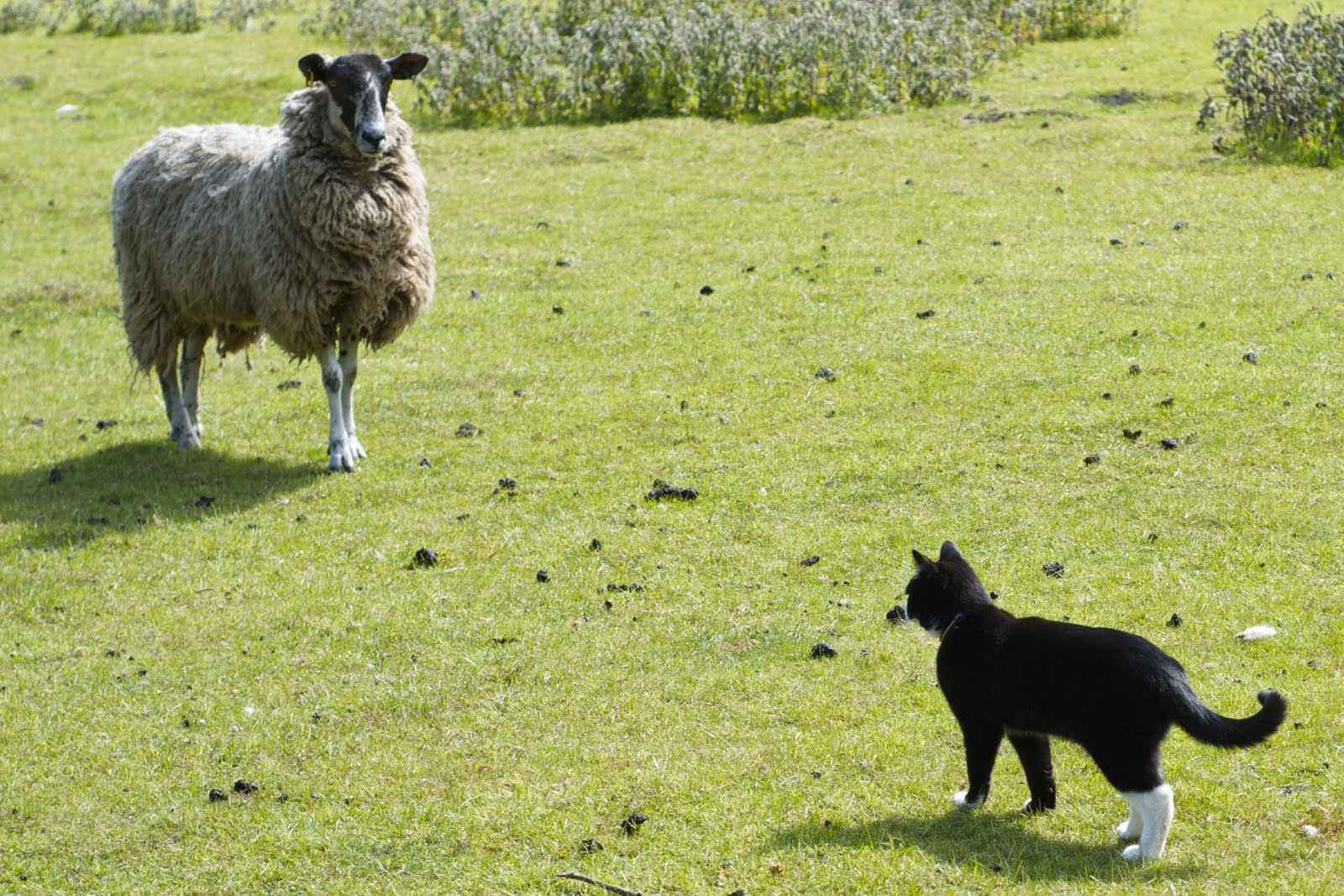 The Plashing Vole: Weekend wonderland