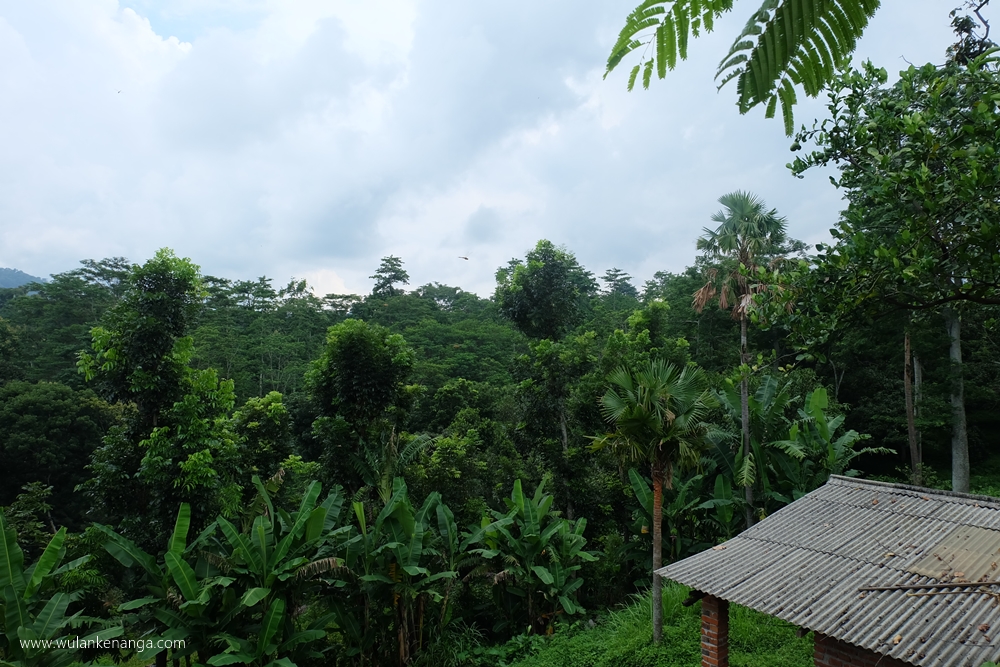 Cerita Kenanga: Rumah Makan Sendang Raos; Makanan Enak di Trawas Mojokerto