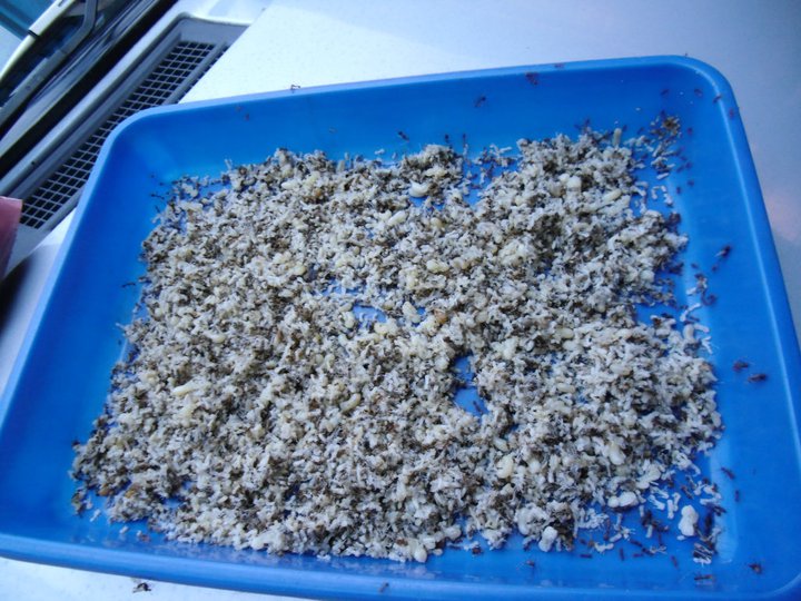 bagi ilmu: Profesi: Balada Pencari Kristal